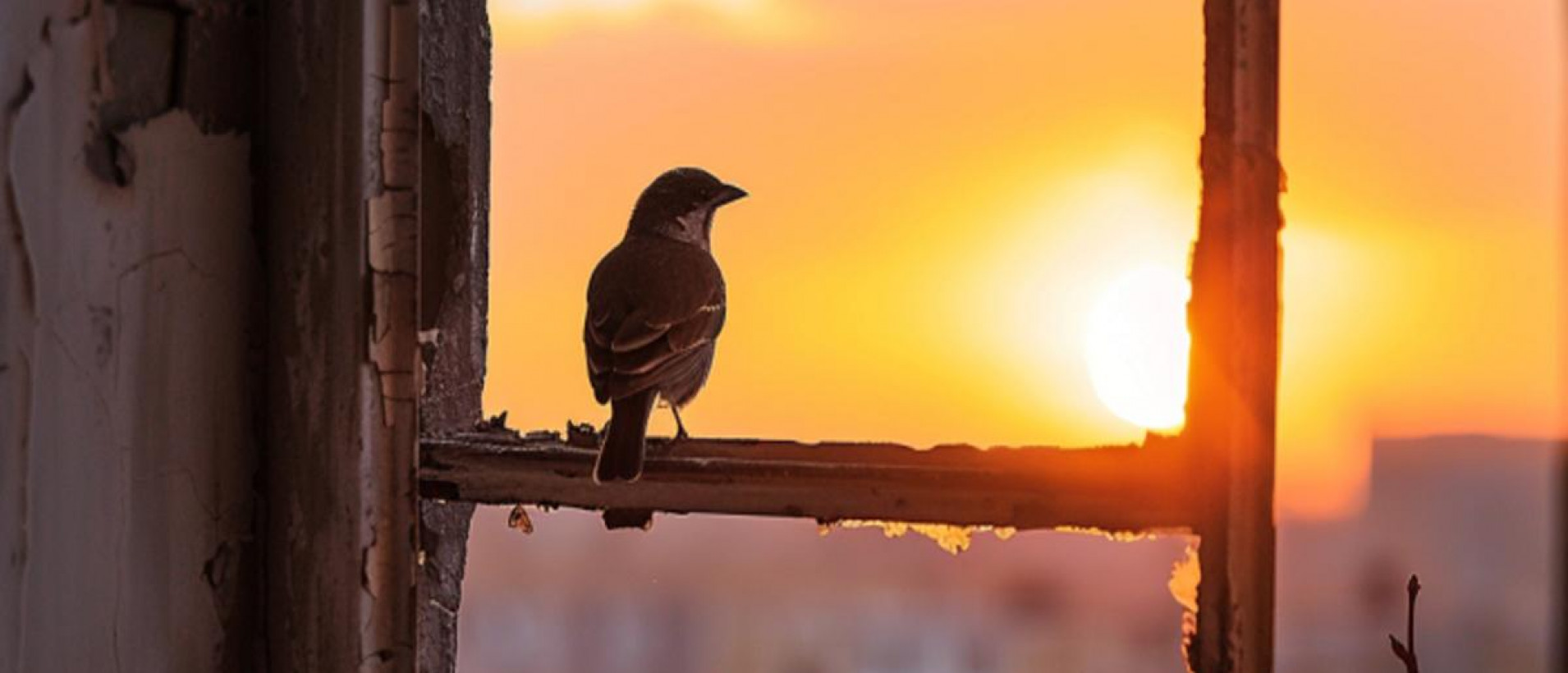 Bulavko: Rocket in Kyiv Hospital Not Russian